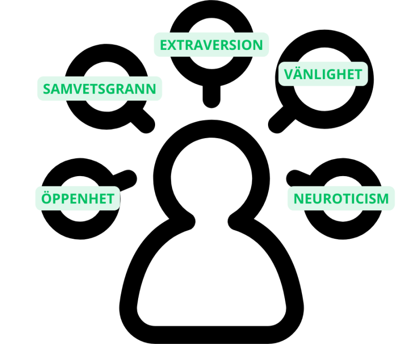 IPIP-300 | Neurobics